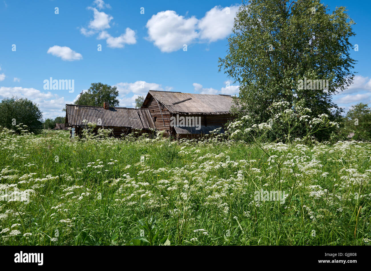 Das alte Bauernhaus. Russisches Dorf North. Kenozerye. Archangelsk, Russland Stockfotografie - Alamy