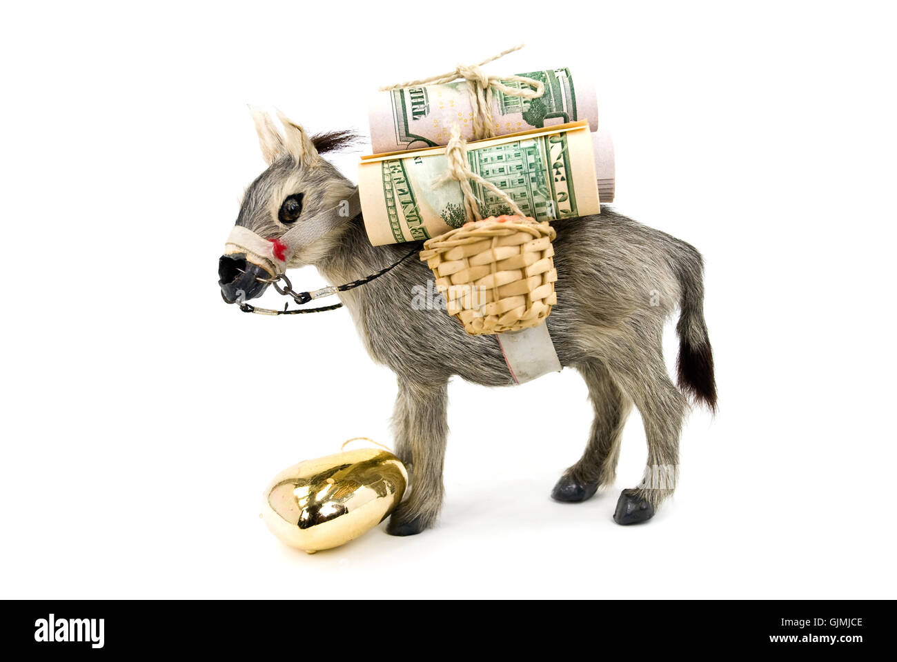 Lustiger esel Ausgeschnittene Stockfotos und -bilder - Alamy