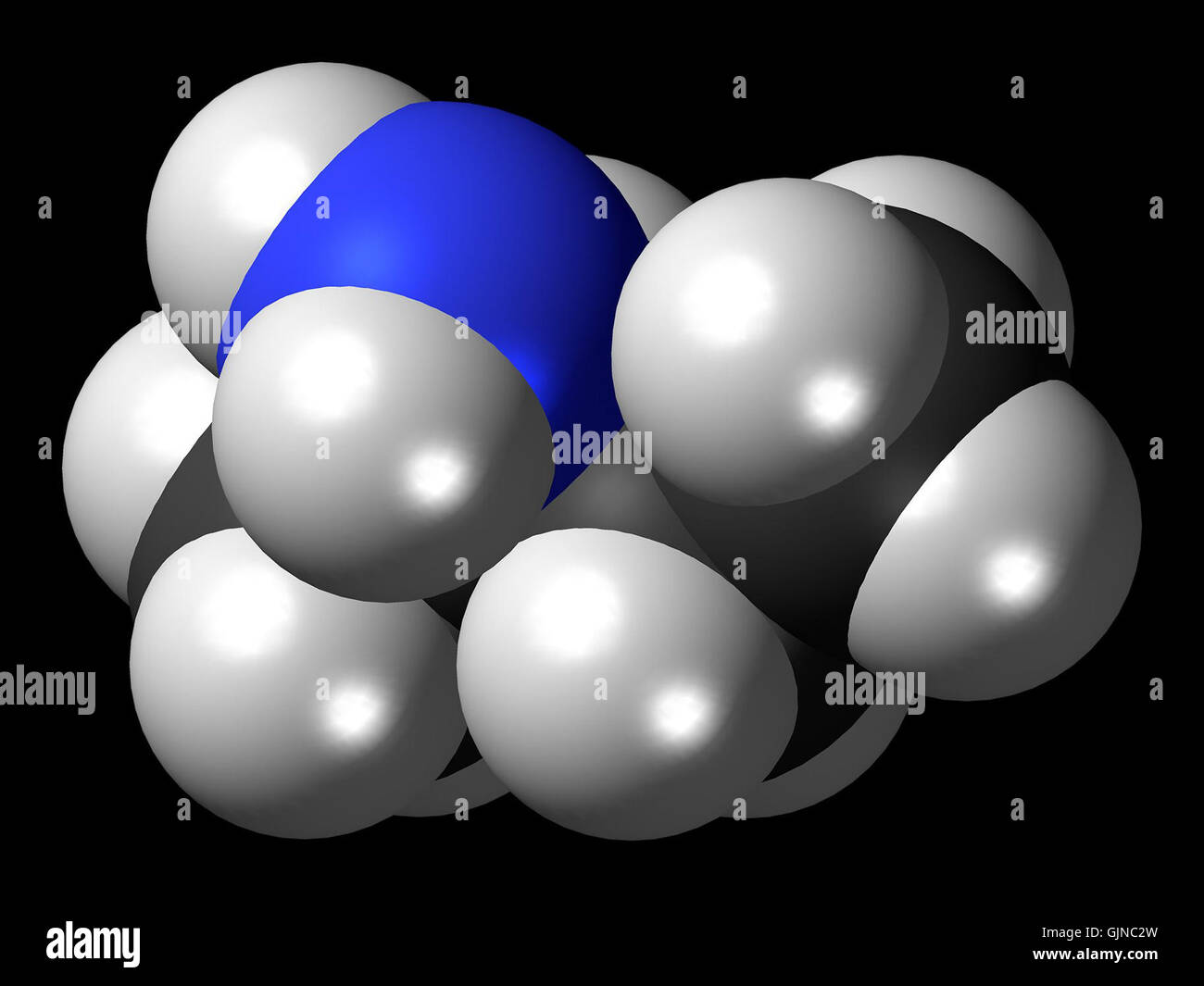 Ein raumfüllendes Modell des Butylamin-Moleküls, das seine atomare ...