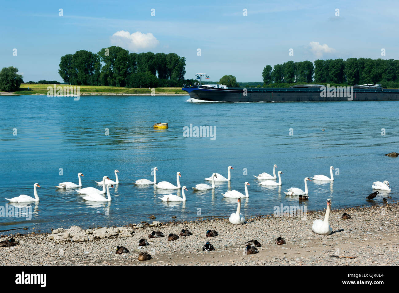 Frachtschiff Deutschland Stockfotos und -bilder Kaufen - Alamy