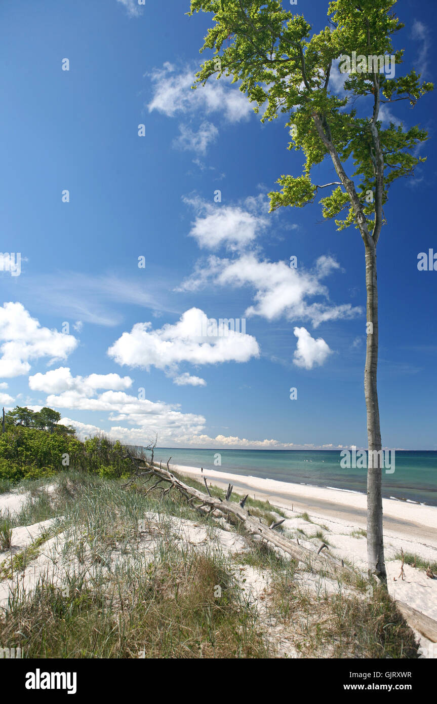 Park strand -Fotos und -Bildmaterial in hoher Auflösung – Alamy
