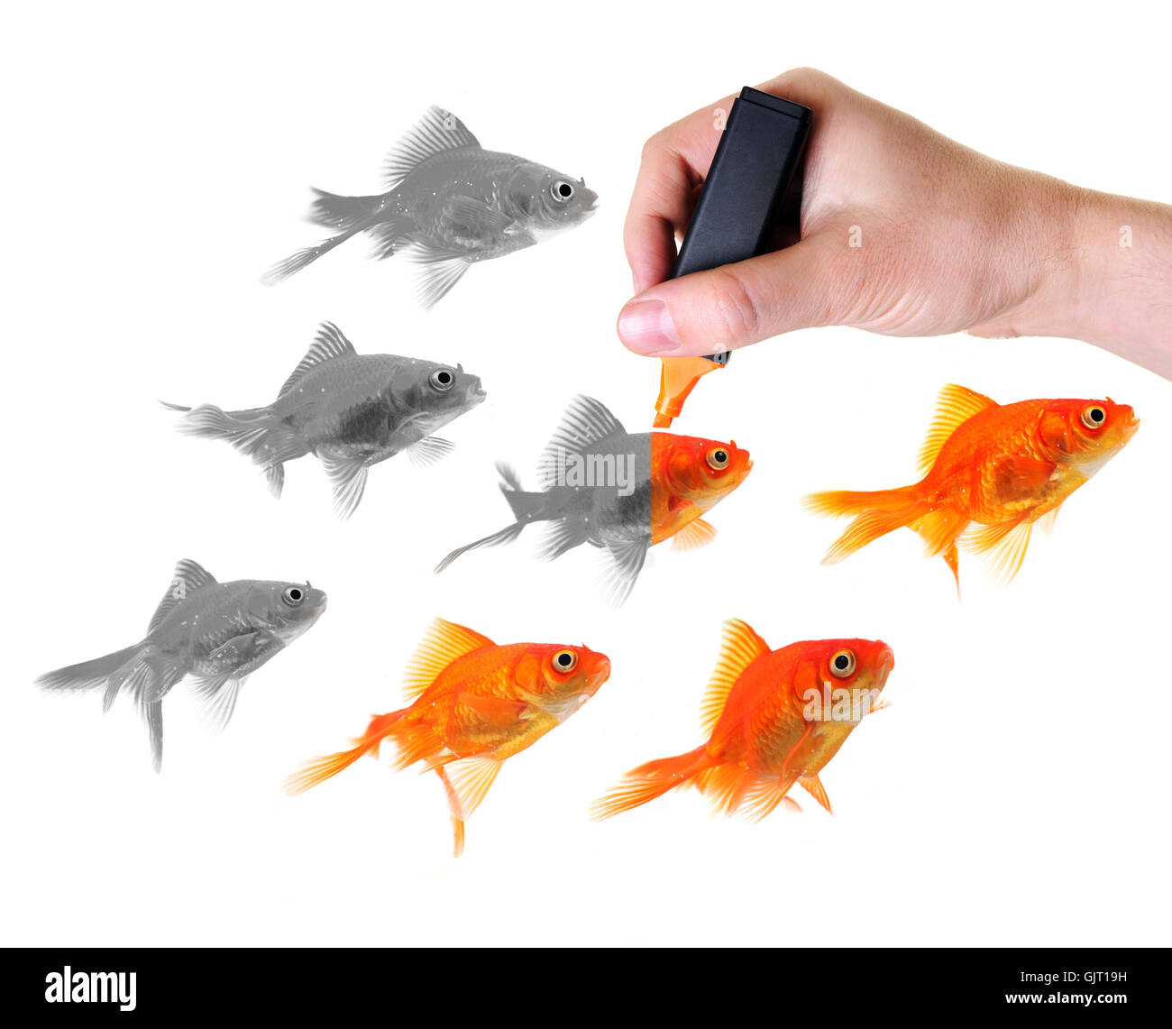 Schöpfer spezial Ausgeschnittene Stockfotos und -bilder - Alamy