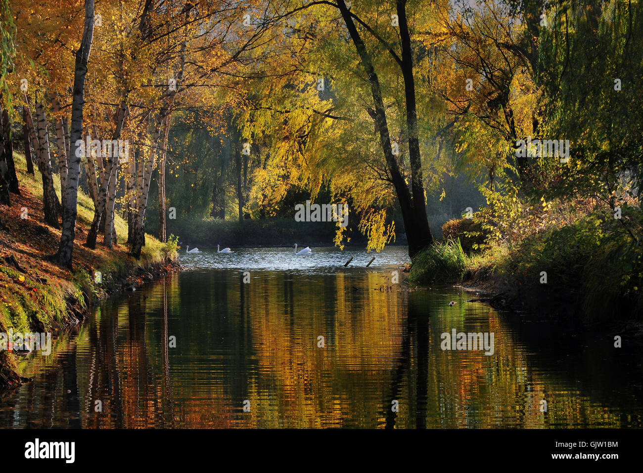 Wiener natur -Fotos und -Bildmaterial in hoher Auflösung – Alamy
