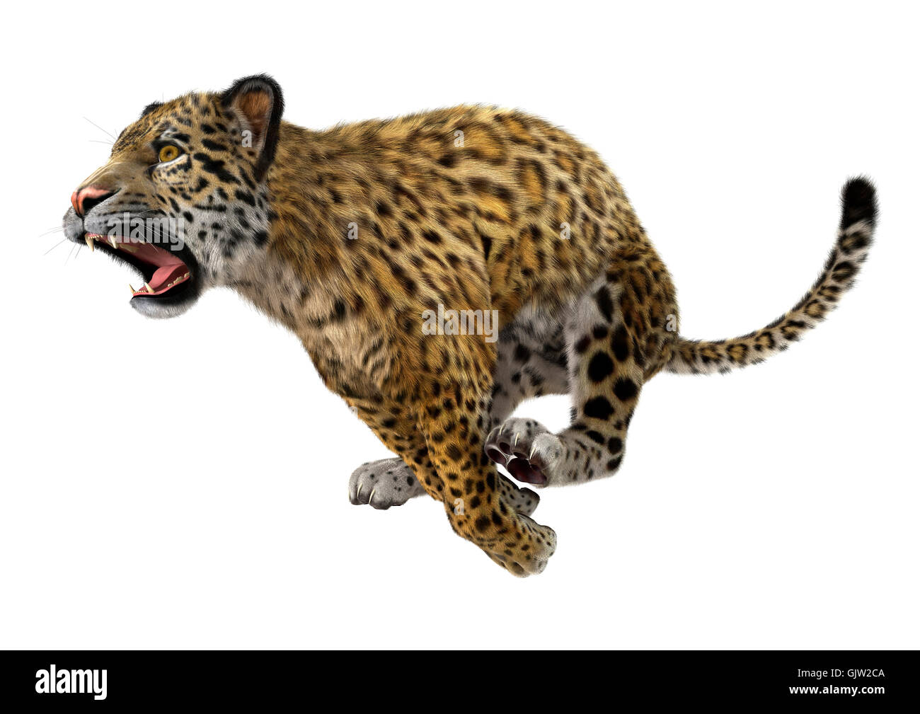 3D-Rendering einer Raubkatze Jaguar isoliert auf weißem Hintergrund ...