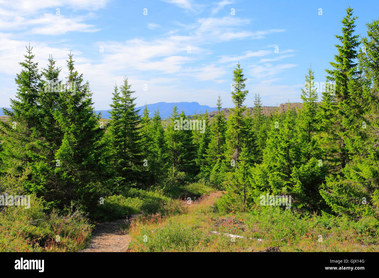 Kalter vulkanismus -Fotos und -Bildmaterial in hoher Auflösung – Alamy