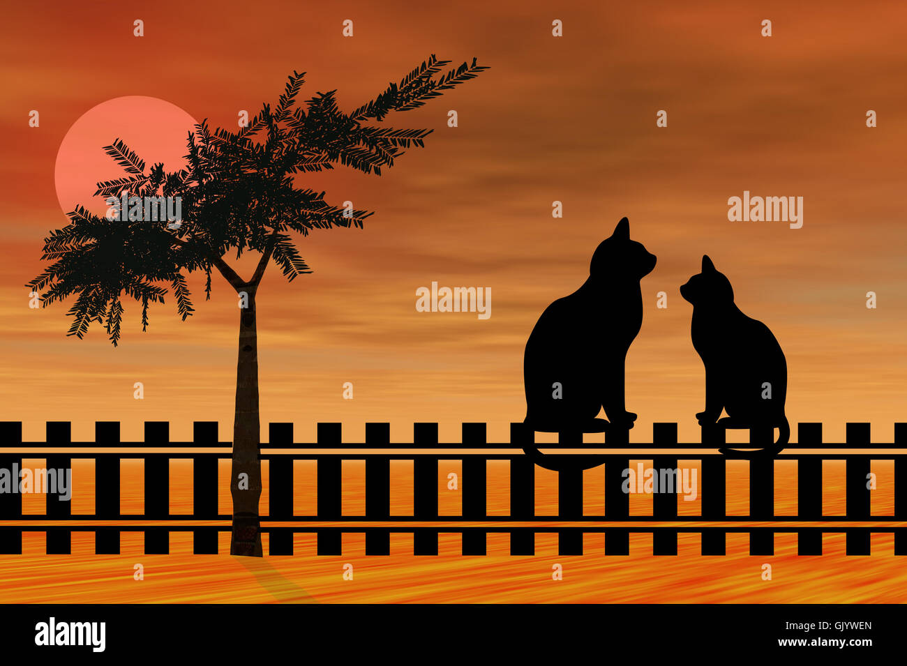 Katzen silhouette -Fotos und -Bildmaterial in hoher Auflösung – Alamy