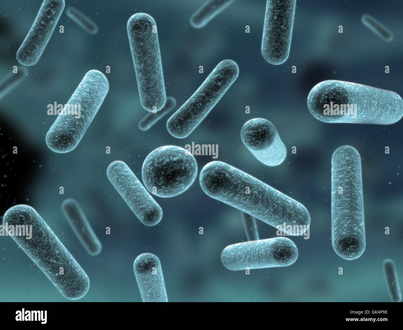 Zellen biologie -Fotos und -Bildmaterial in hoher Auflösung – Alamy