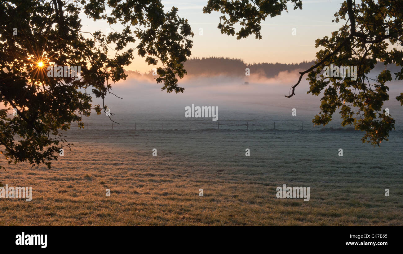 Nordischer nebel -Fotos und -Bildmaterial in hoher Auflösung – Alamy