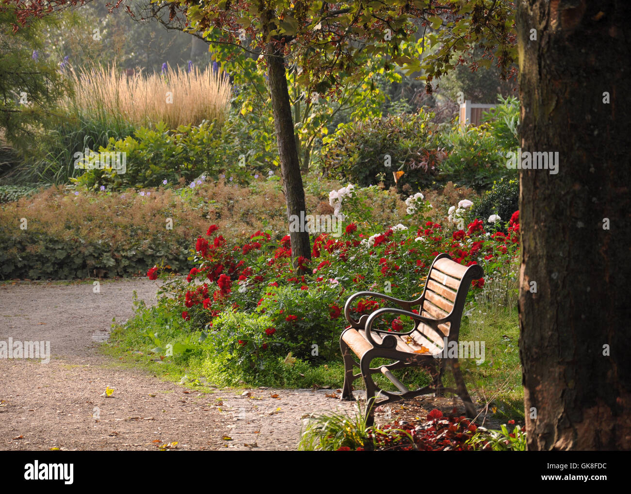 Bank baum sommer bank baum -Fotos und -Bildmaterial in hoher Auflösung ...