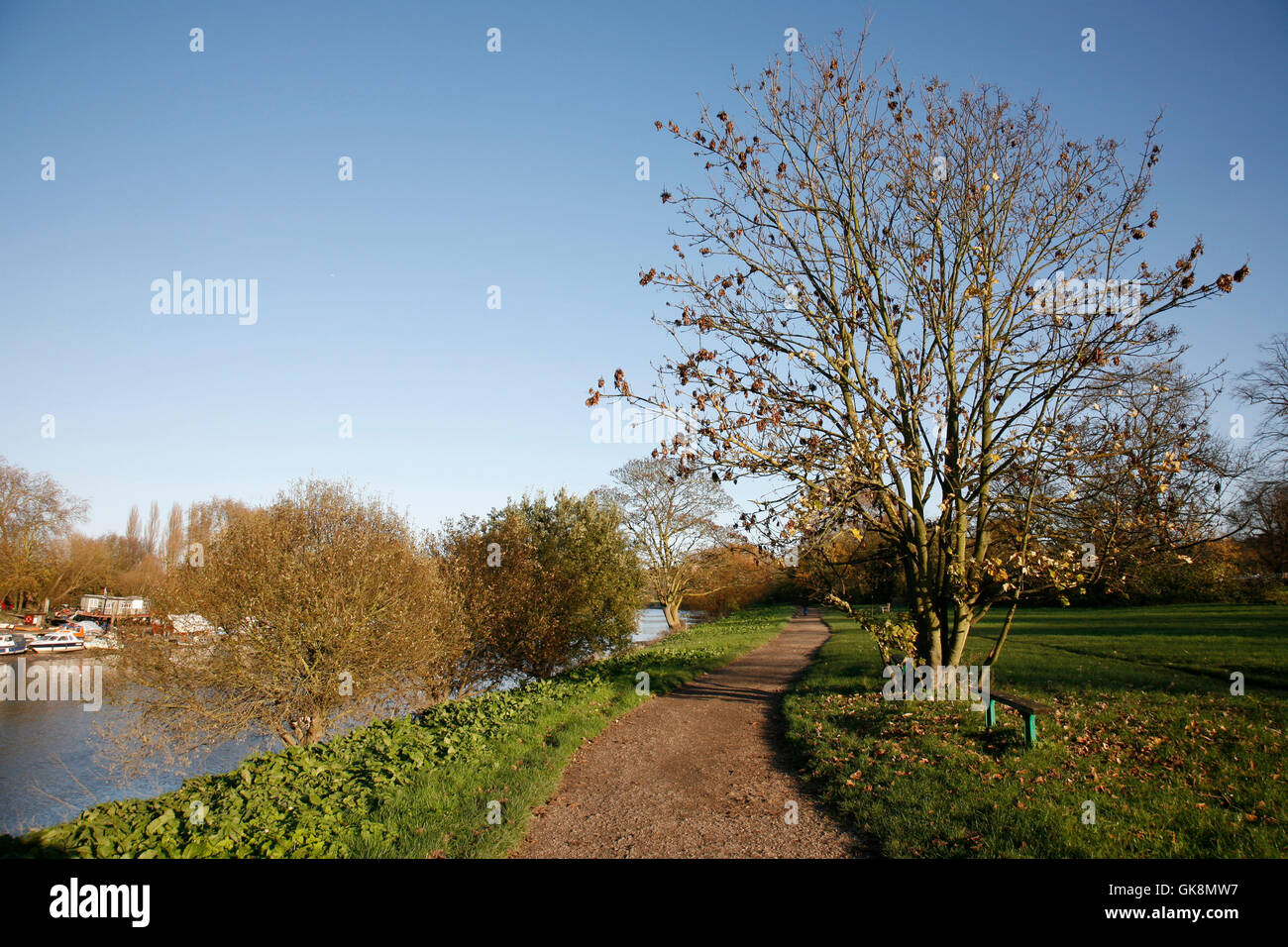 Baum und park -Fotos und -Bildmaterial in hoher Auflösung – Alamy