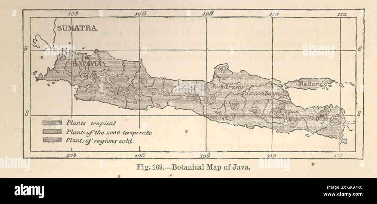 Diese botanische Karte von Java zeigt die vielfältigen Pflanzenarten ...