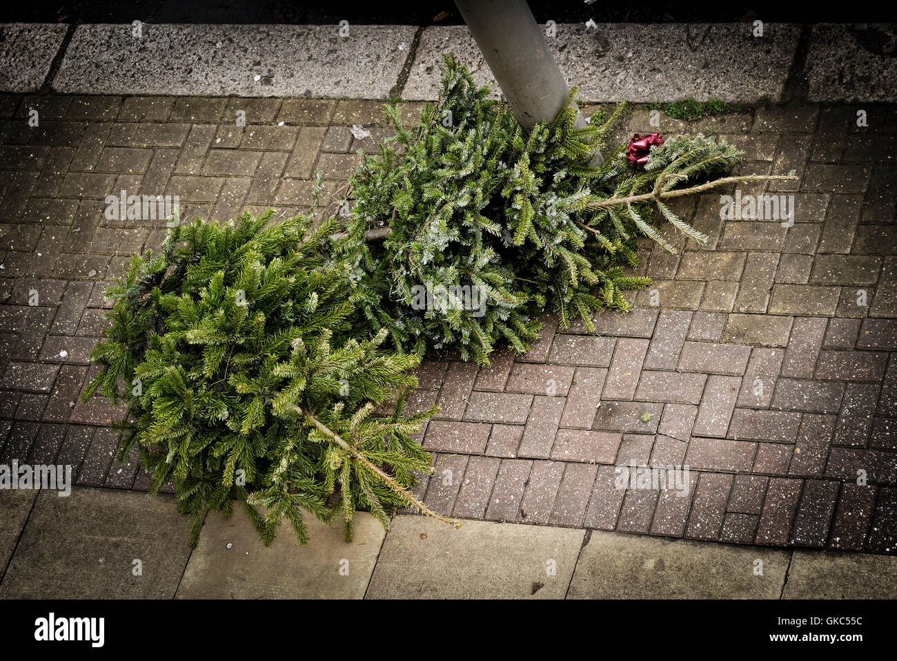 Party sammeln -Fotos und -Bildmaterial in hoher Auflösung – Alamy