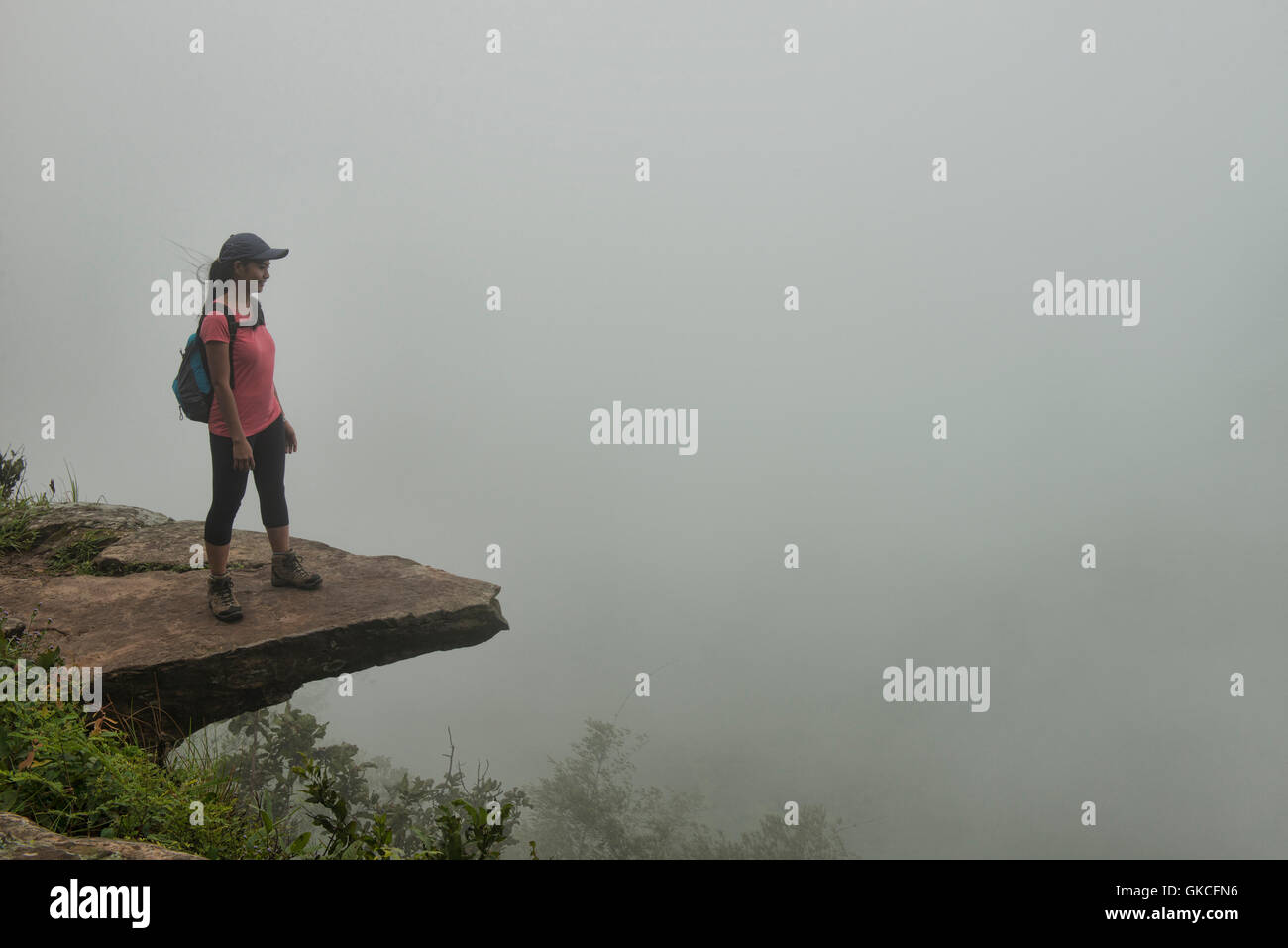 Geschrumpfter schinken -Fotos und -Bildmaterial in hoher Auflösung – Alamy