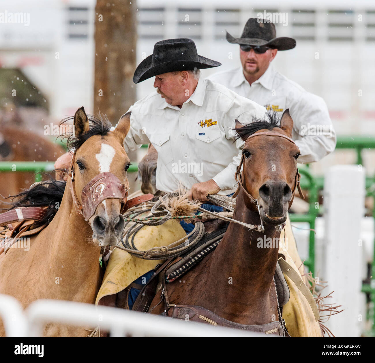 Tradition cowboys -Fotos und -Bildmaterial in hoher Auflösung – Alamy