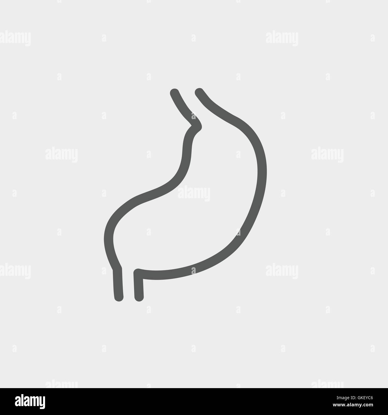 Menschliche anatomie innere organe Schwarzweiß-Stockfotos und -bilder ...