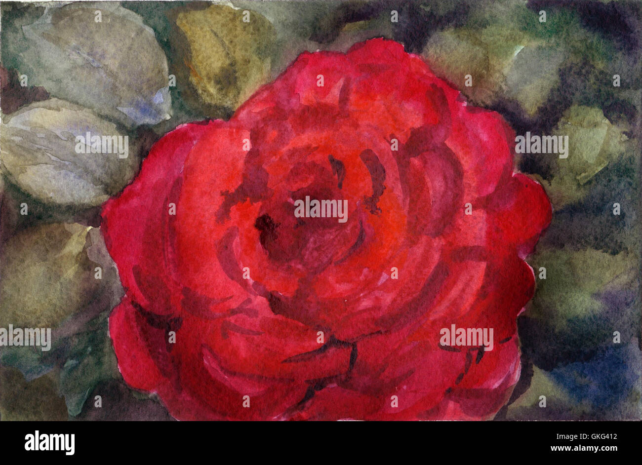 Aquarell Hand gezeichnet rote Rose auf grüne Blätter Hintergrund ...