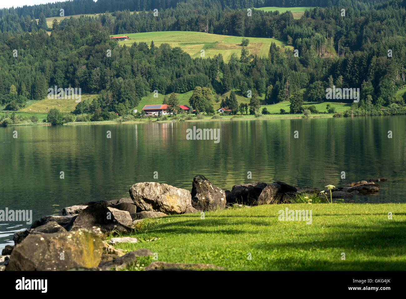 See-Großer Alpsee bei Bühl, Immenstadt Im Allgäu, Oberallgäu, Bayern ...