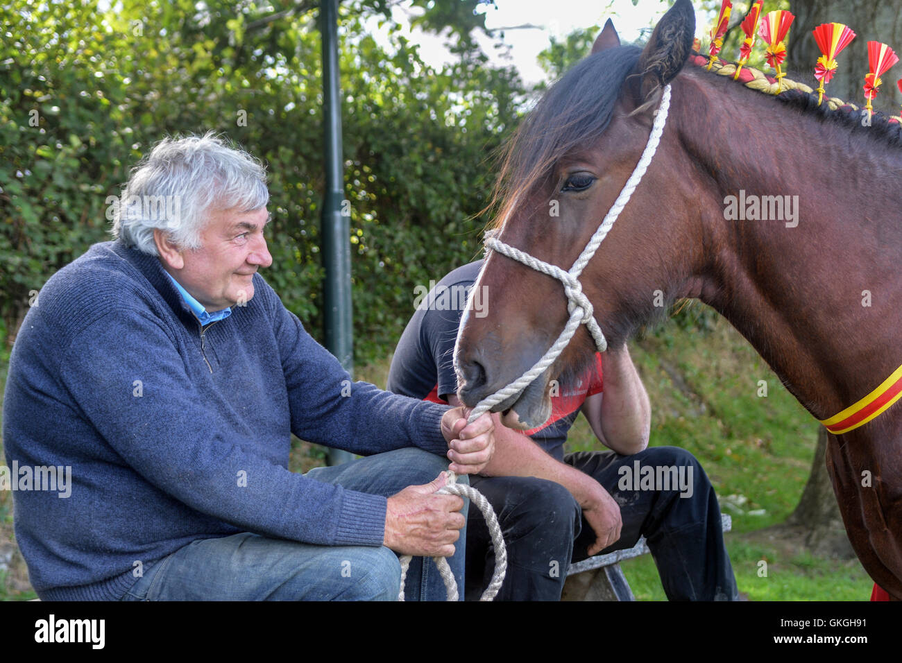 Aberaeron Ceredigion West Wales, UK. Sioe Flynyddol zum ersten Mal in ...