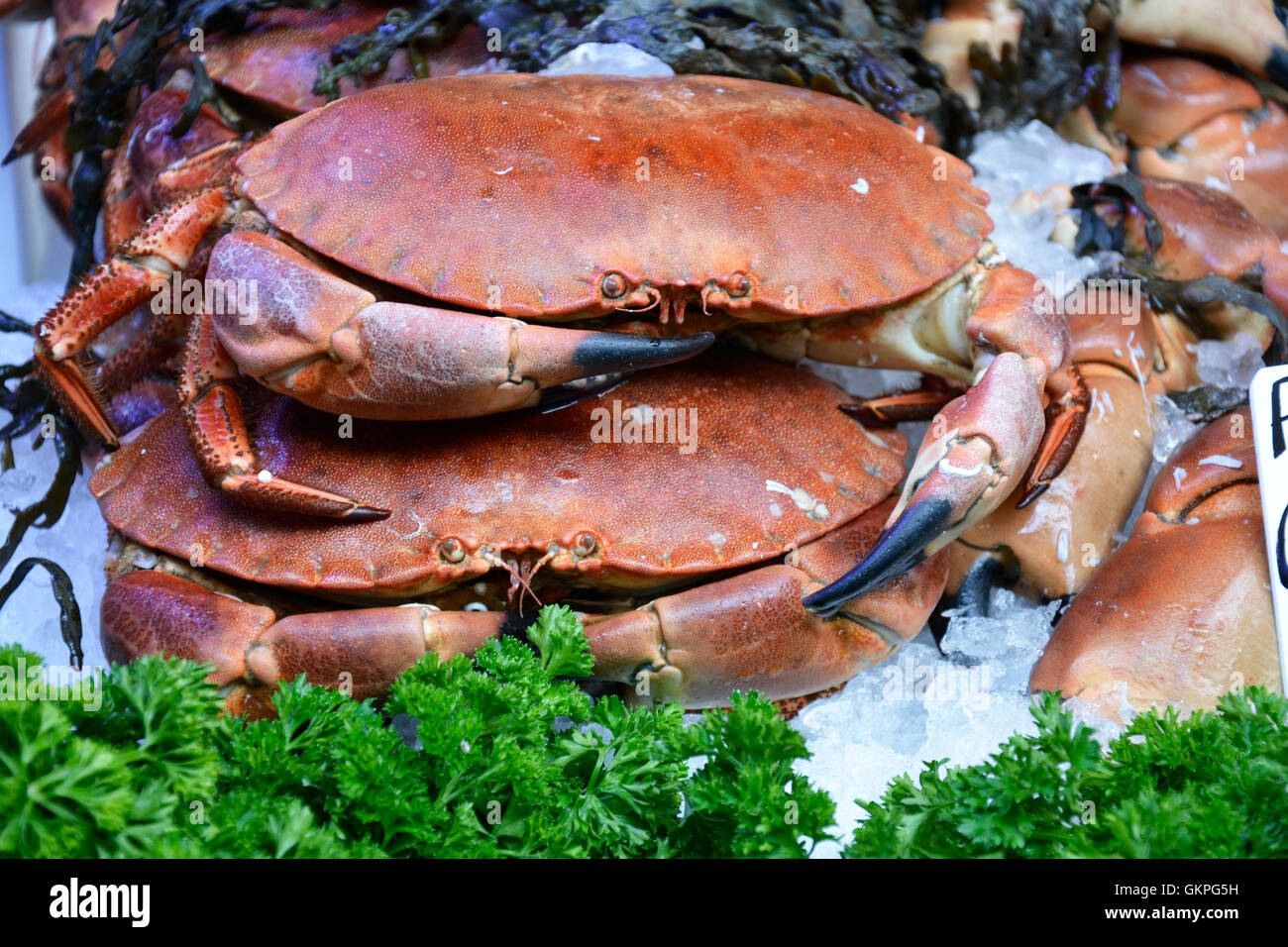 Frische braune krabben -Fotos und -Bildmaterial in hoher Auflösung – Alamy