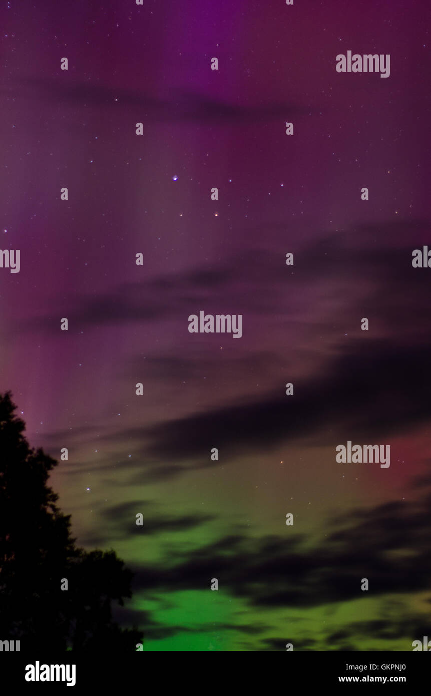 Sky stars surface surrealism tree -Fotos und -Bildmaterial in hoher ...