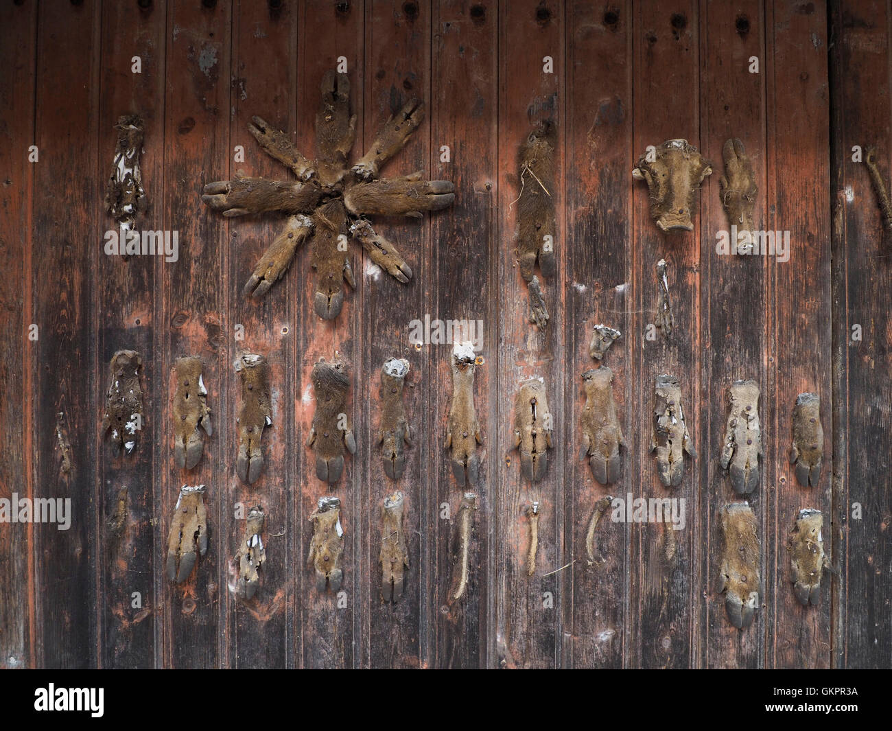 Altes scheunentor -Fotos und -Bildmaterial in hoher Auflösung – Alamy