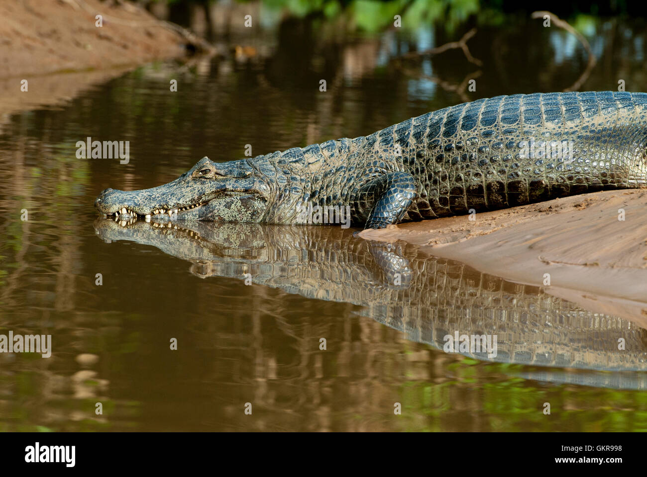 Am flussufer -Fotos und -Bildmaterial in hoher Auflösung – Alamy