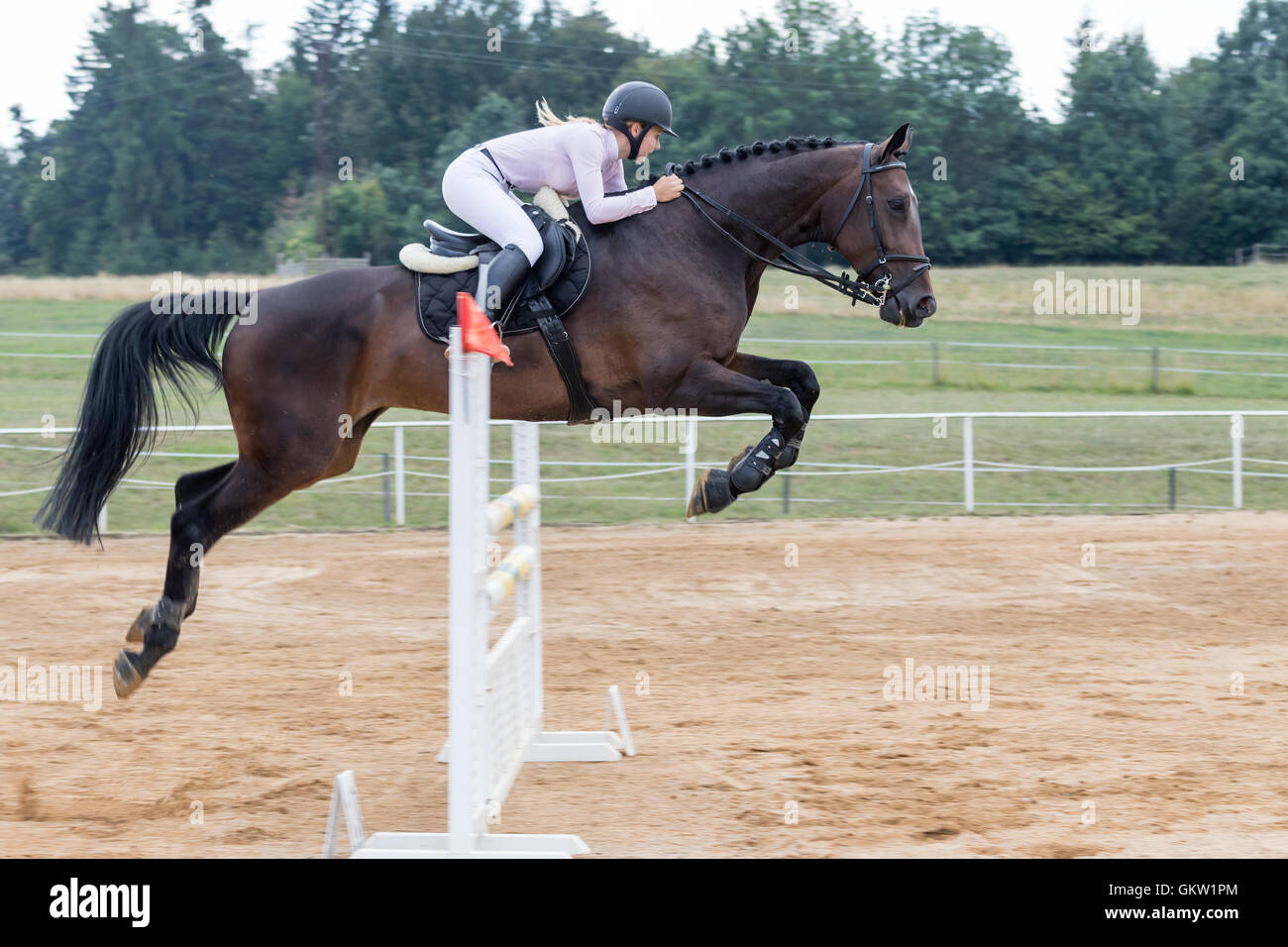 Junge langhaarige blonde Reiterin ein dunkles Pferd springen ...