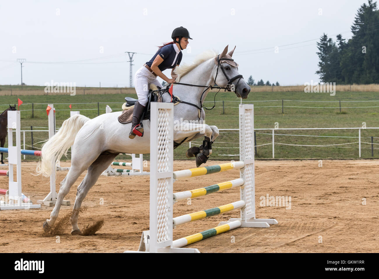 Langhaarige schöne Reiterin auf einem weißen Pferd springen ...