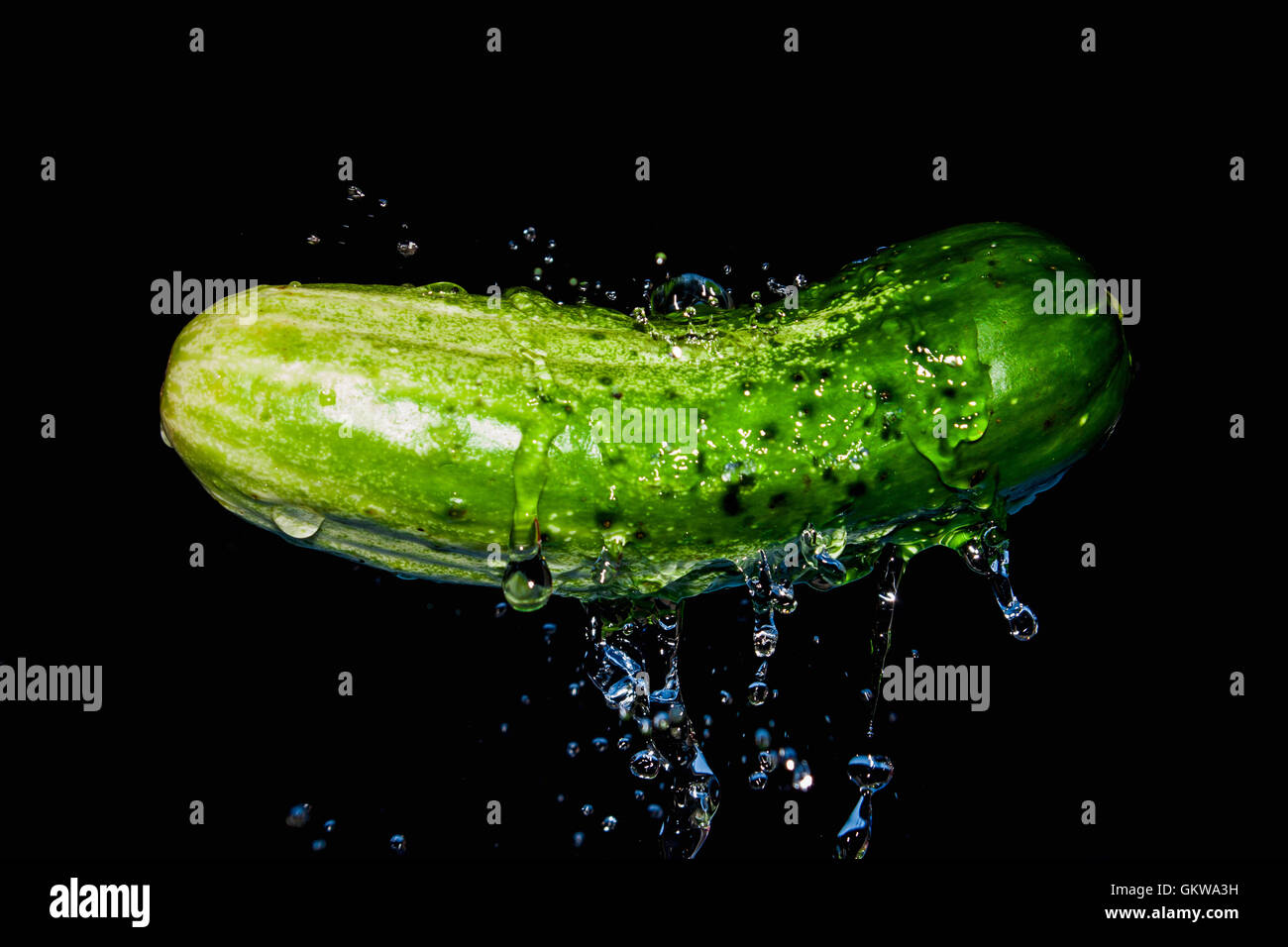 Wunderschne Gurke Im Wasser Bilder
