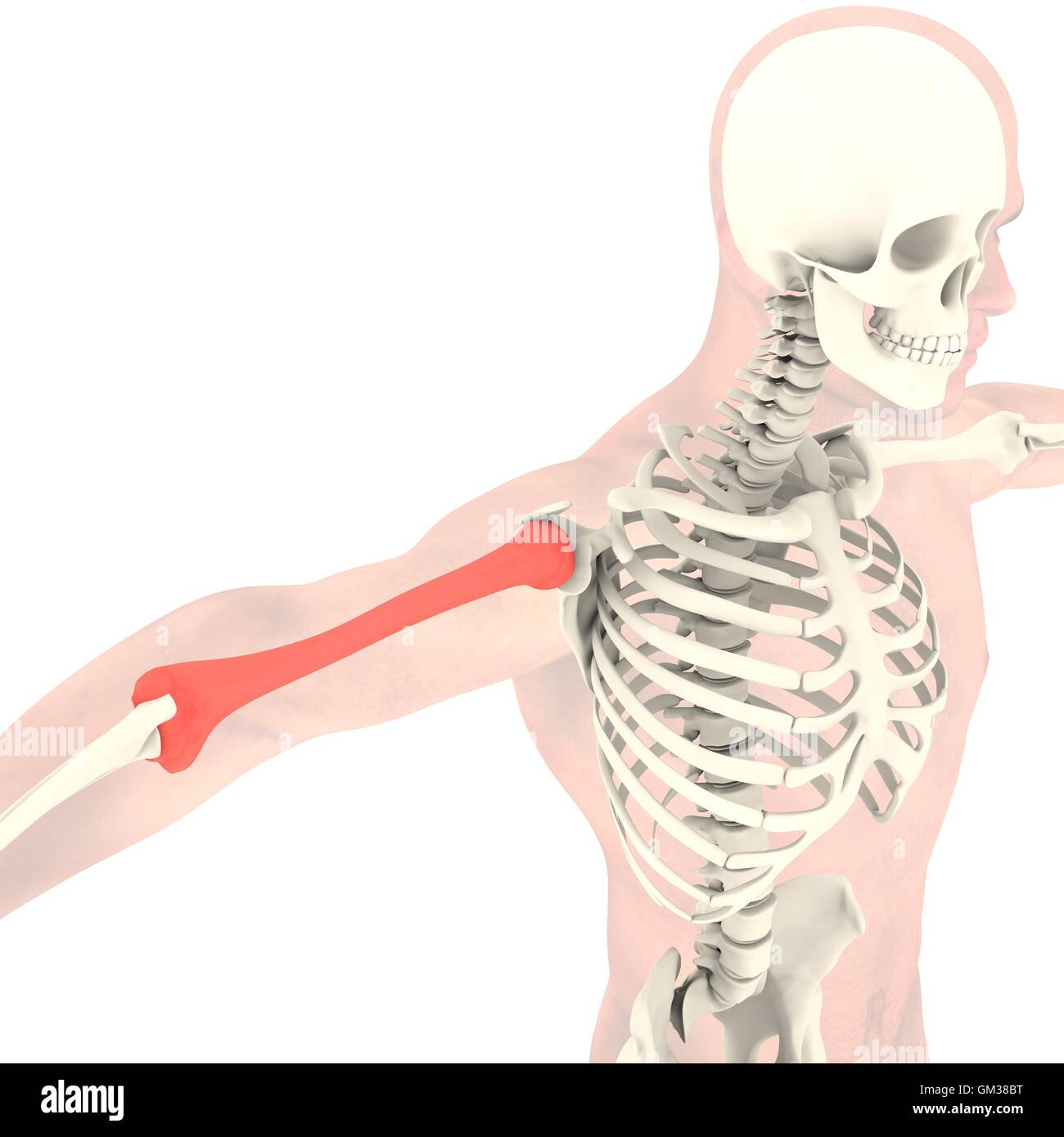 Transparent arthritis -Fotos und -Bildmaterial in hoher Auflösung – Alamy