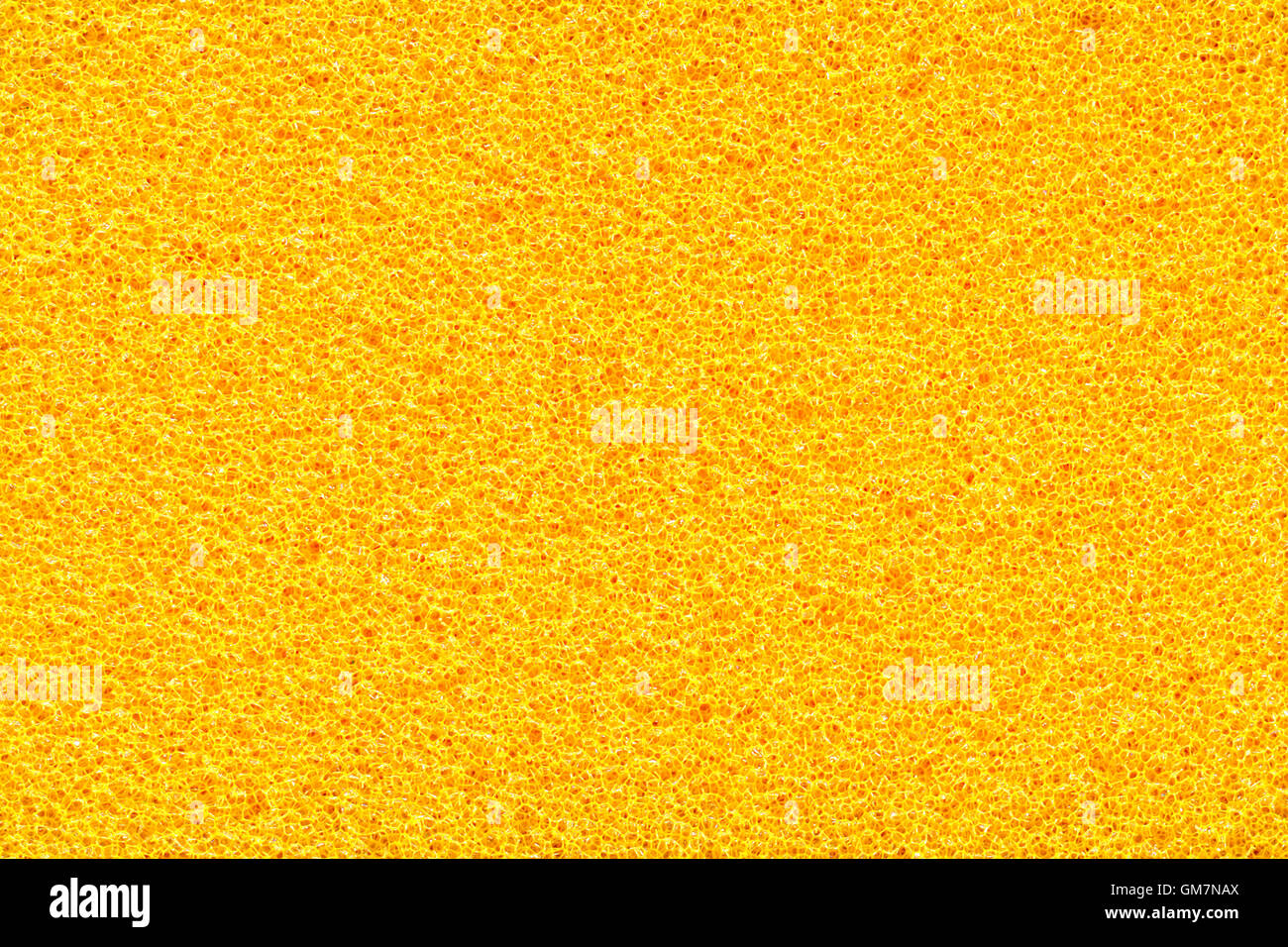 Schwämme textur -Fotos und -Bildmaterial in hoher Auflösung – Alamy
