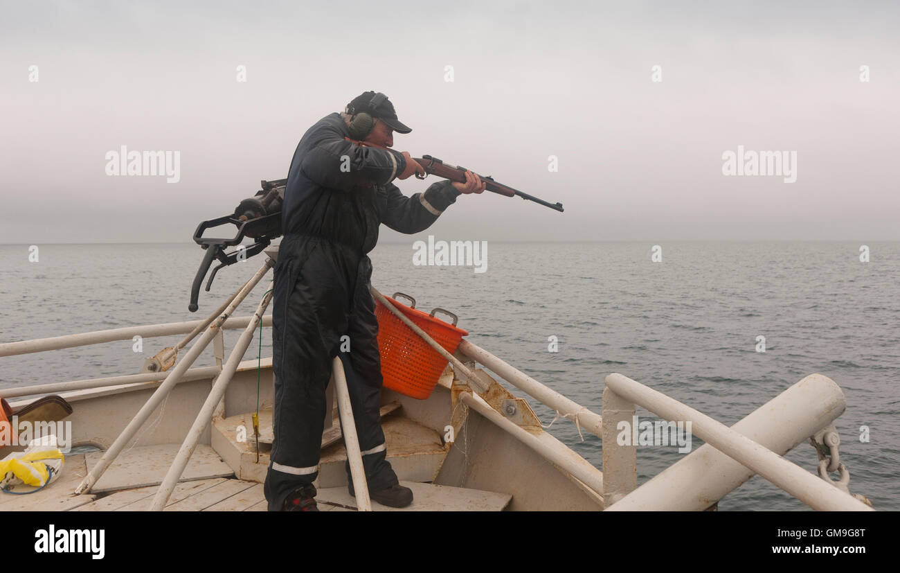 Whale hunting harpoon -Fotos und -Bildmaterial in hoher Auflösung – Alamy