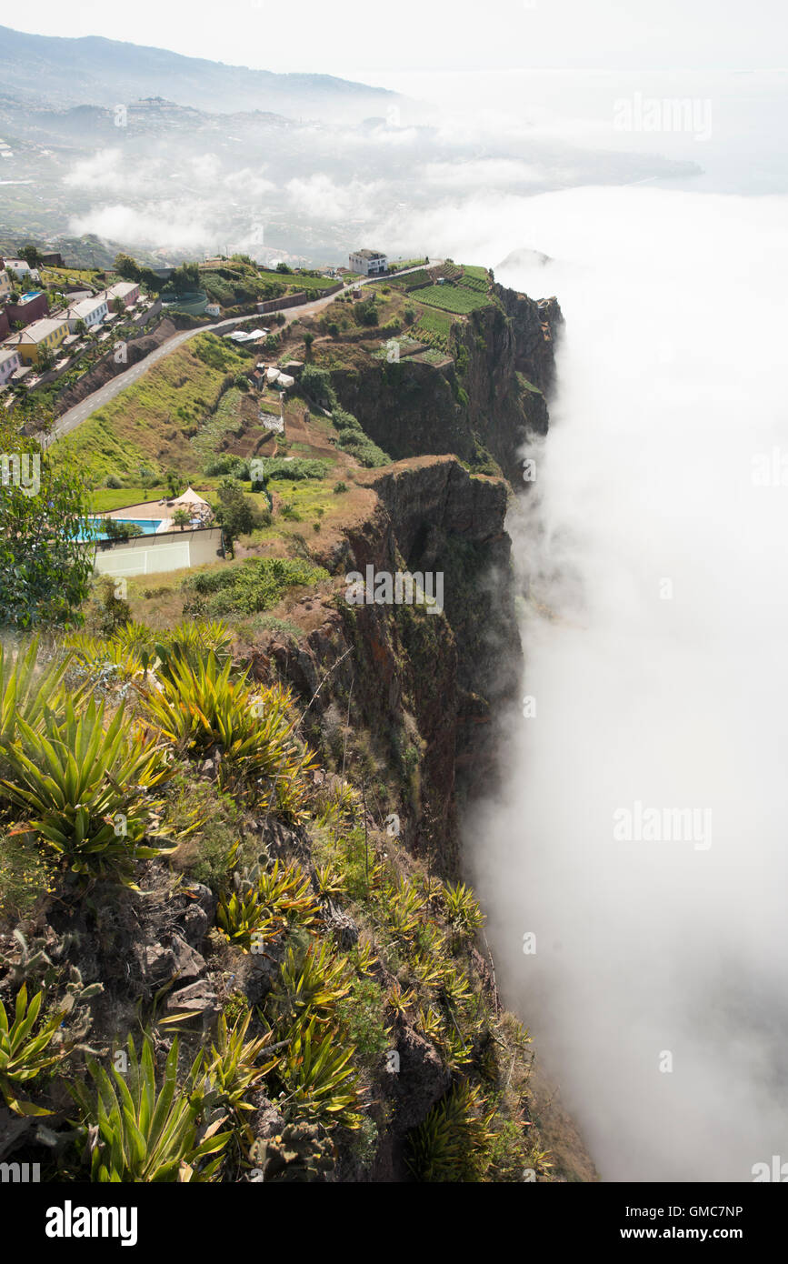 National da madeira -Fotos und -Bildmaterial in hoher Auflösung – Alamy