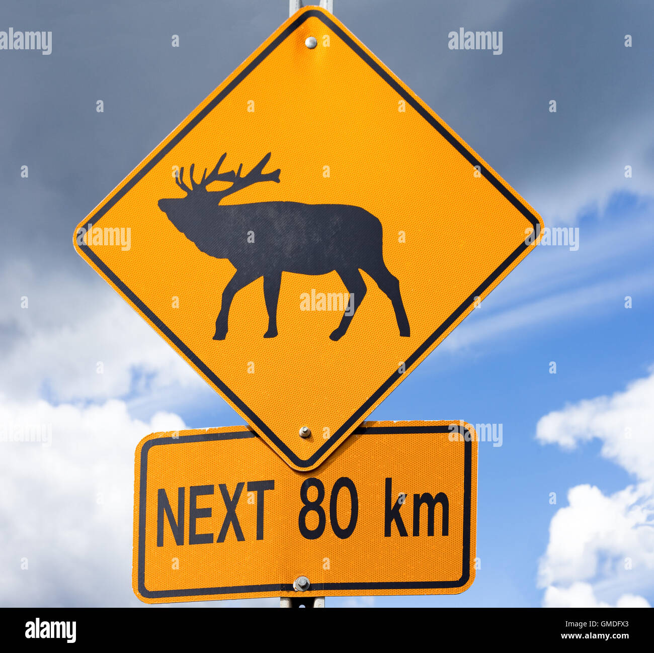 Vorsicht elch zeichen -Fotos und -Bildmaterial in hoher Auflösung – Alamy