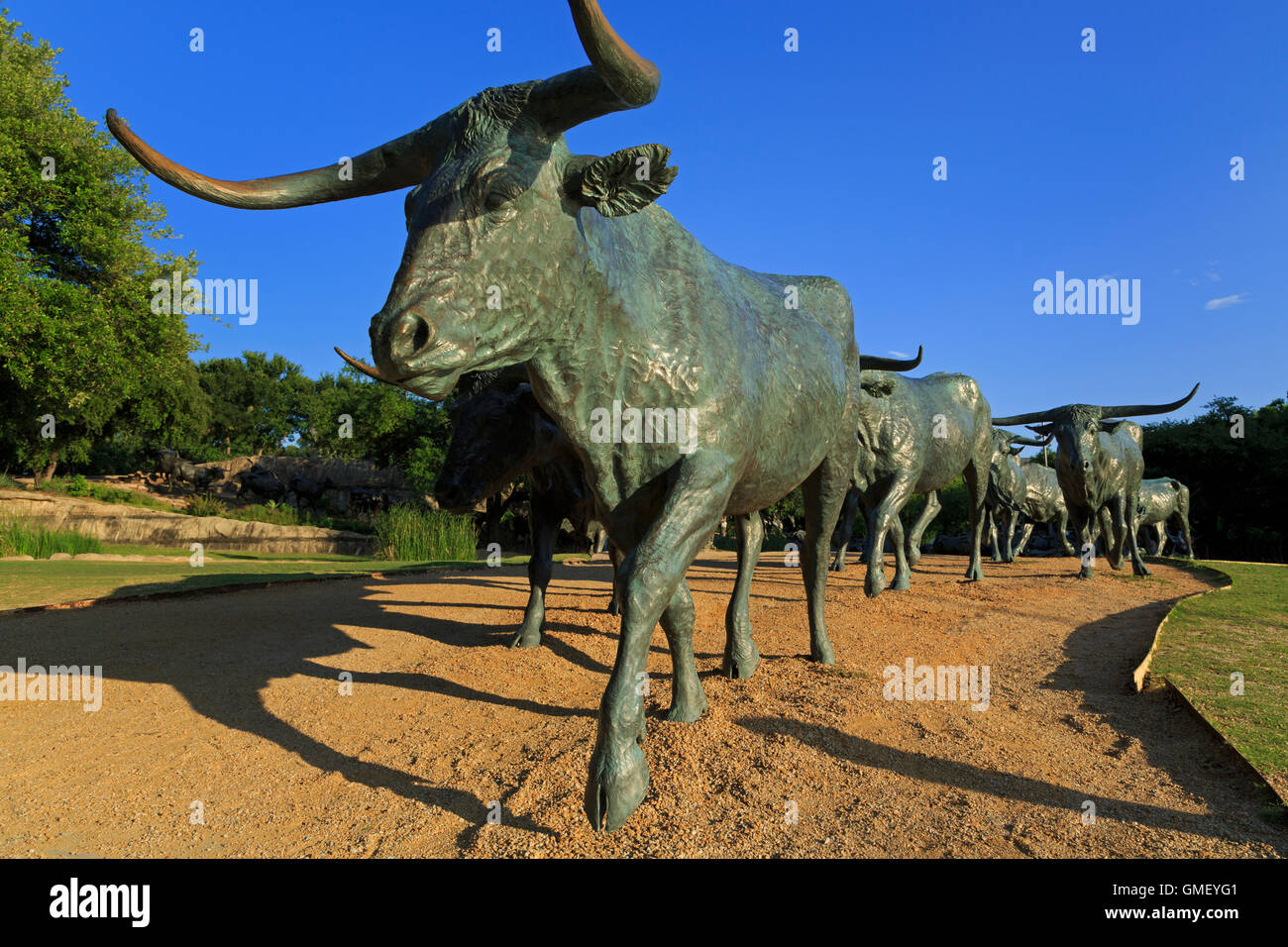 Texas rinder -Fotos und -Bildmaterial in hoher Auflösung – Alamy
