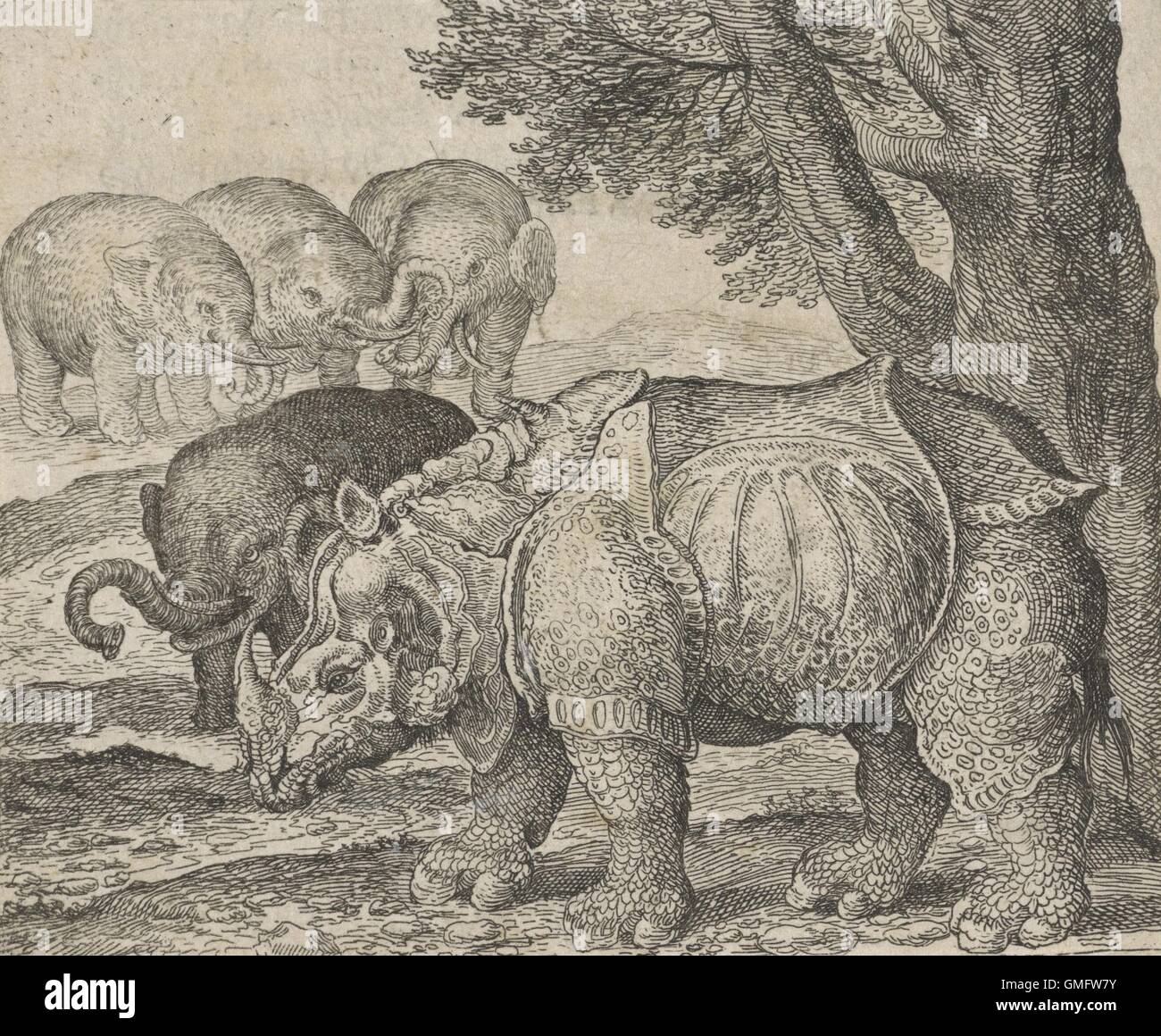 Fable animals -Fotos und -Bildmaterial in hoher Auflösung – Alamy