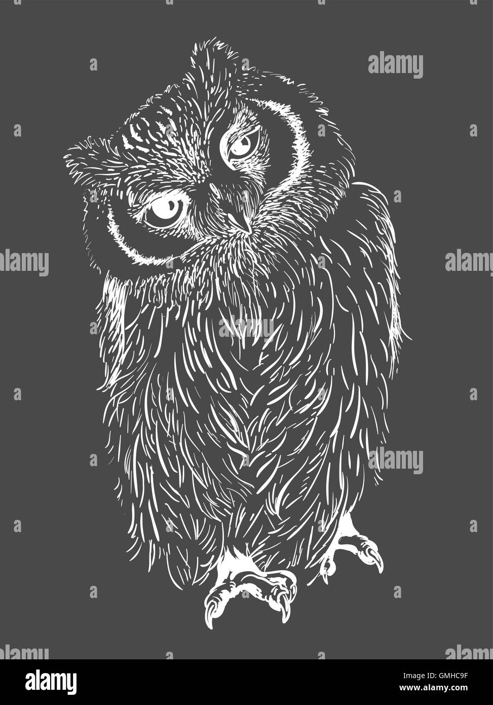 Eule Hand gezeichnet, schwarz / weiß Stock-Vektorgrafik - Alamy
