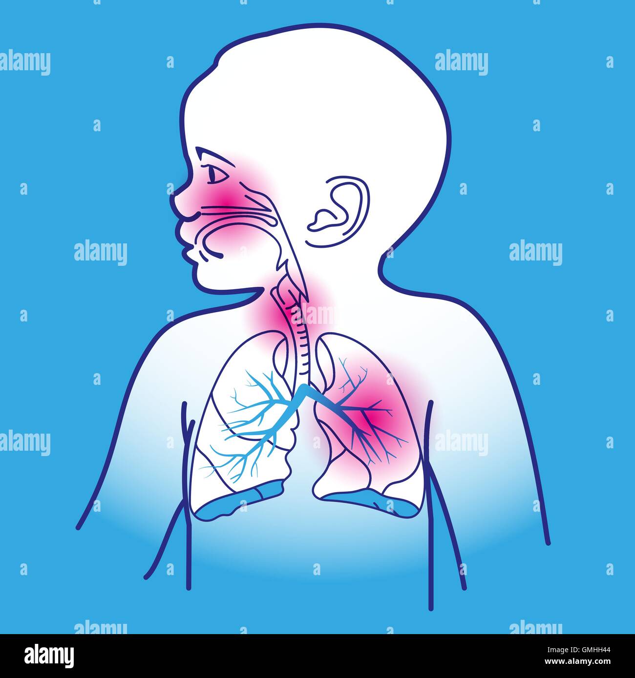 Schema respiratorio Stock-Vektorgrafiken kaufen - Alamy