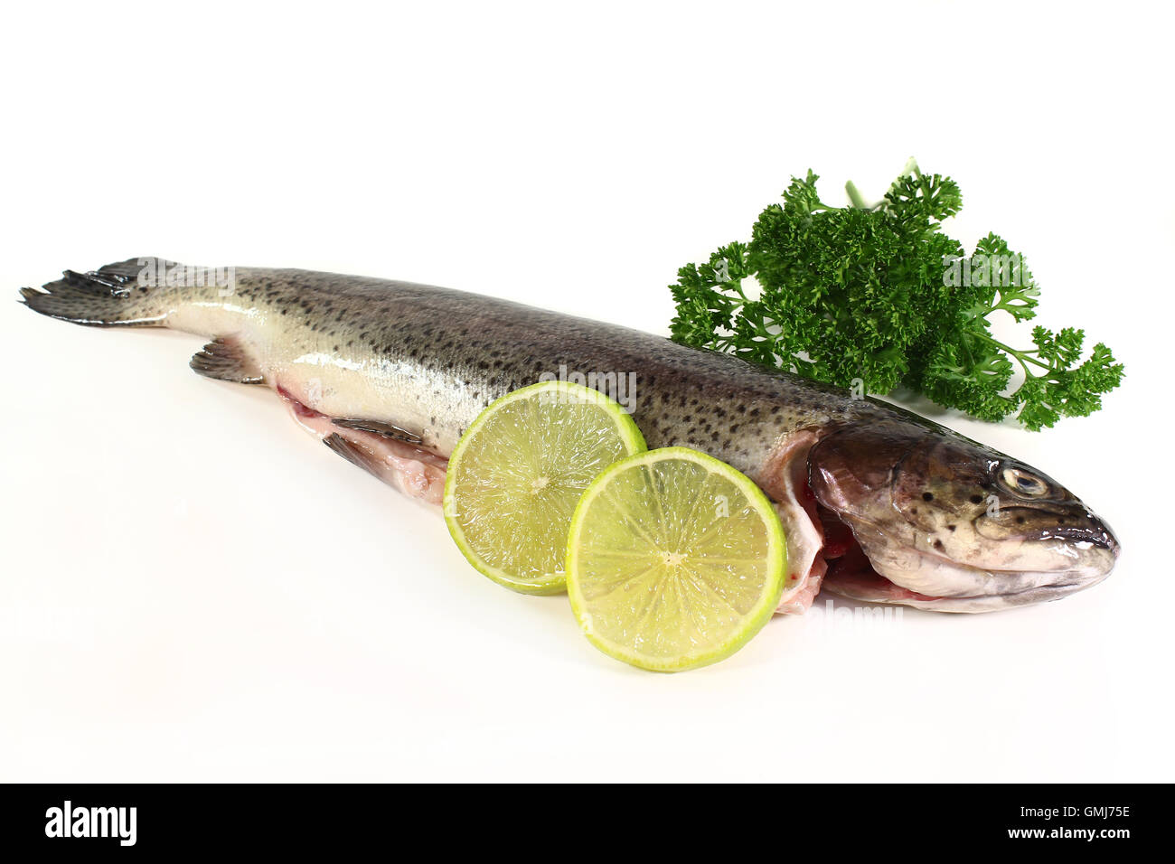 Fischzucht forellen Ausgeschnittene Stockfotos und -bilder - Alamy