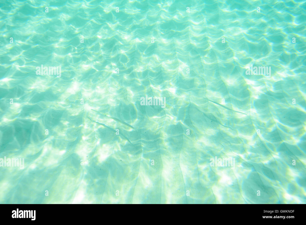 Sand unter wasser -Fotos und -Bildmaterial in hoher Auflösung – Alamy