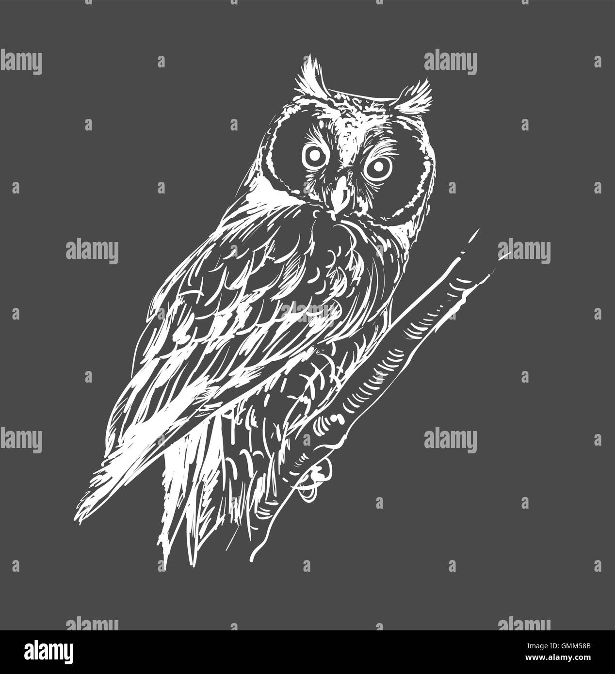 Eule Hand gezeichnet, schwarz / weiß Stock-Vektorgrafik - Alamy