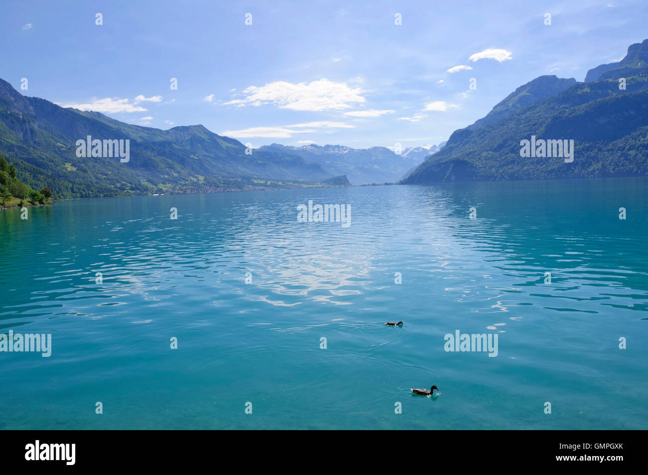 Lake brienz brienzersee -Fotos und -Bildmaterial in hoher Auflösung – Alamy