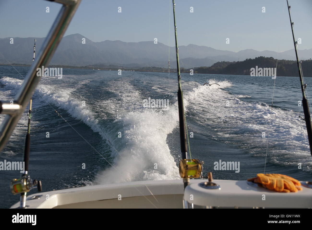 Pacific billfish -Fotos und -Bildmaterial in hoher Auflösung – Alamy