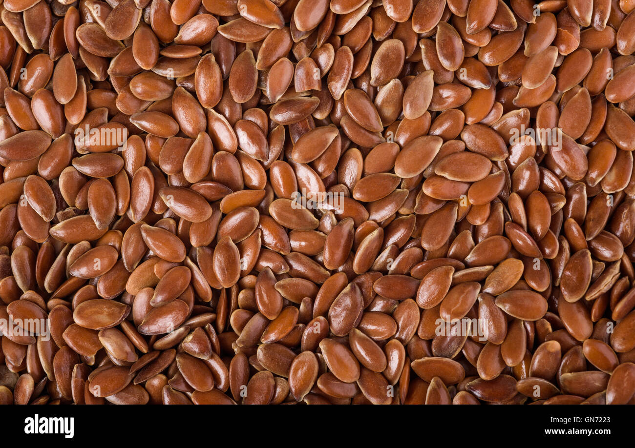 Lein samen -Fotos und -Bildmaterial in hoher Auflösung – Alamy