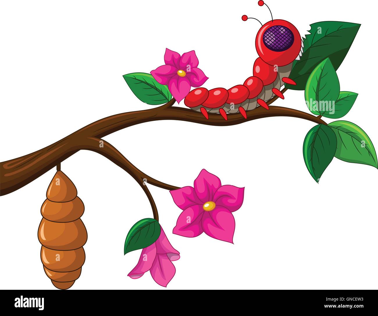 Worm cartoon -Fotos und -Bildmaterial in hoher Auflösung – Alamy