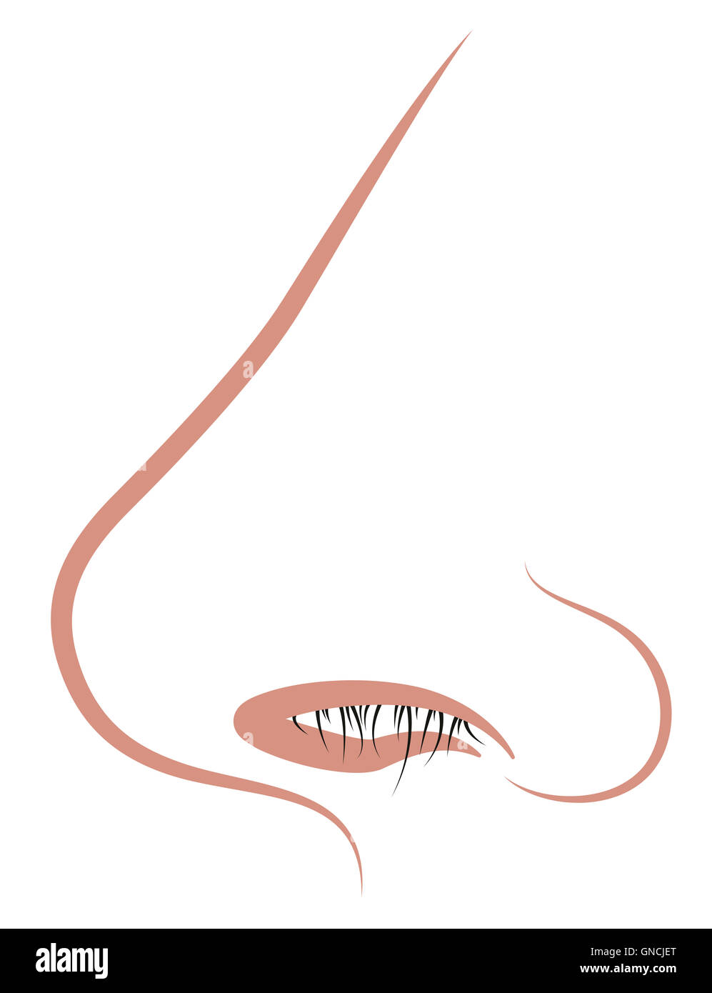 Auf der menschlichen nase -Fotos und -Bildmaterial in hoher Auflösung ...