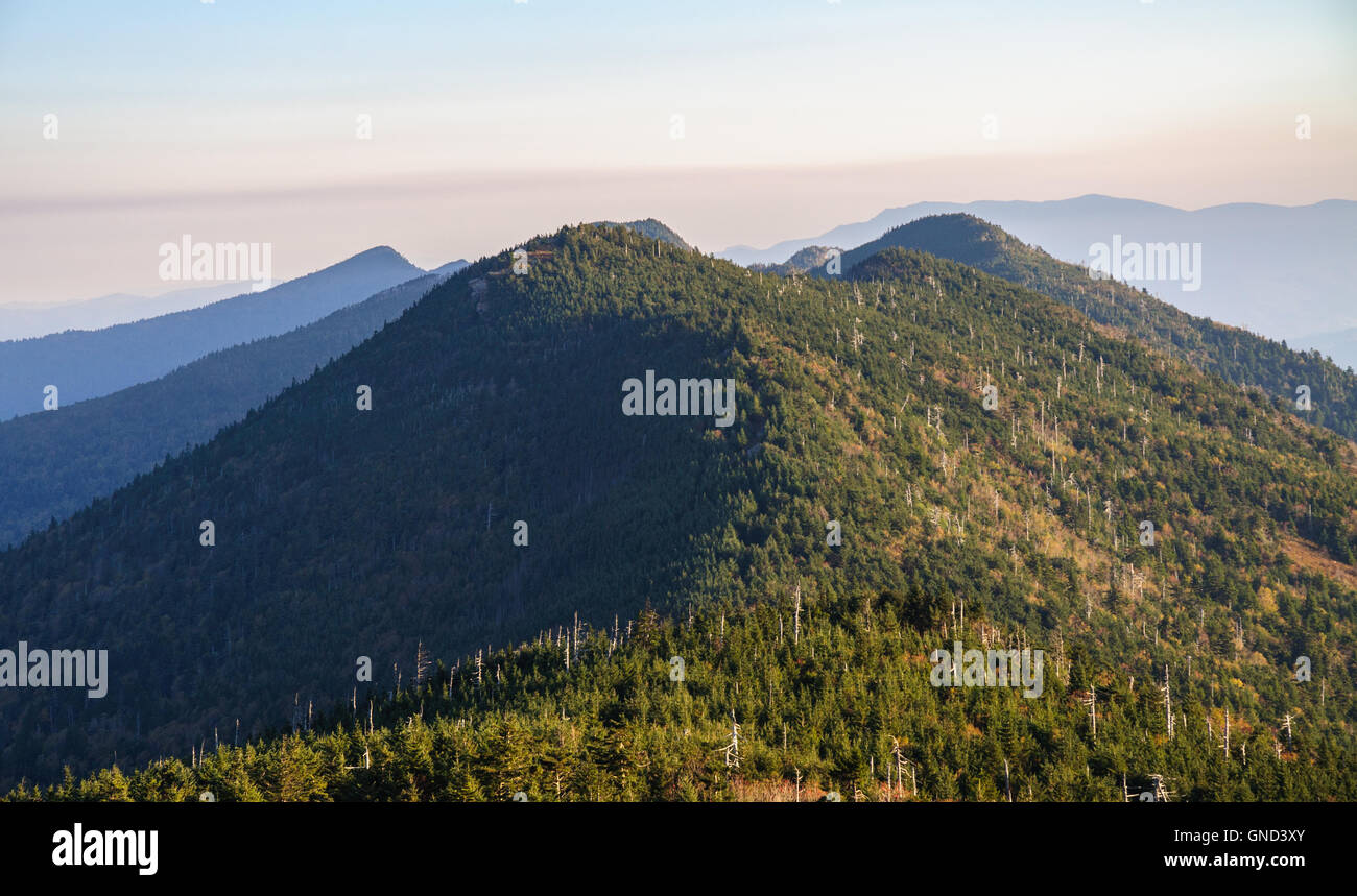 Mount mitchell state park road -Fotos und -Bildmaterial in hoher ...