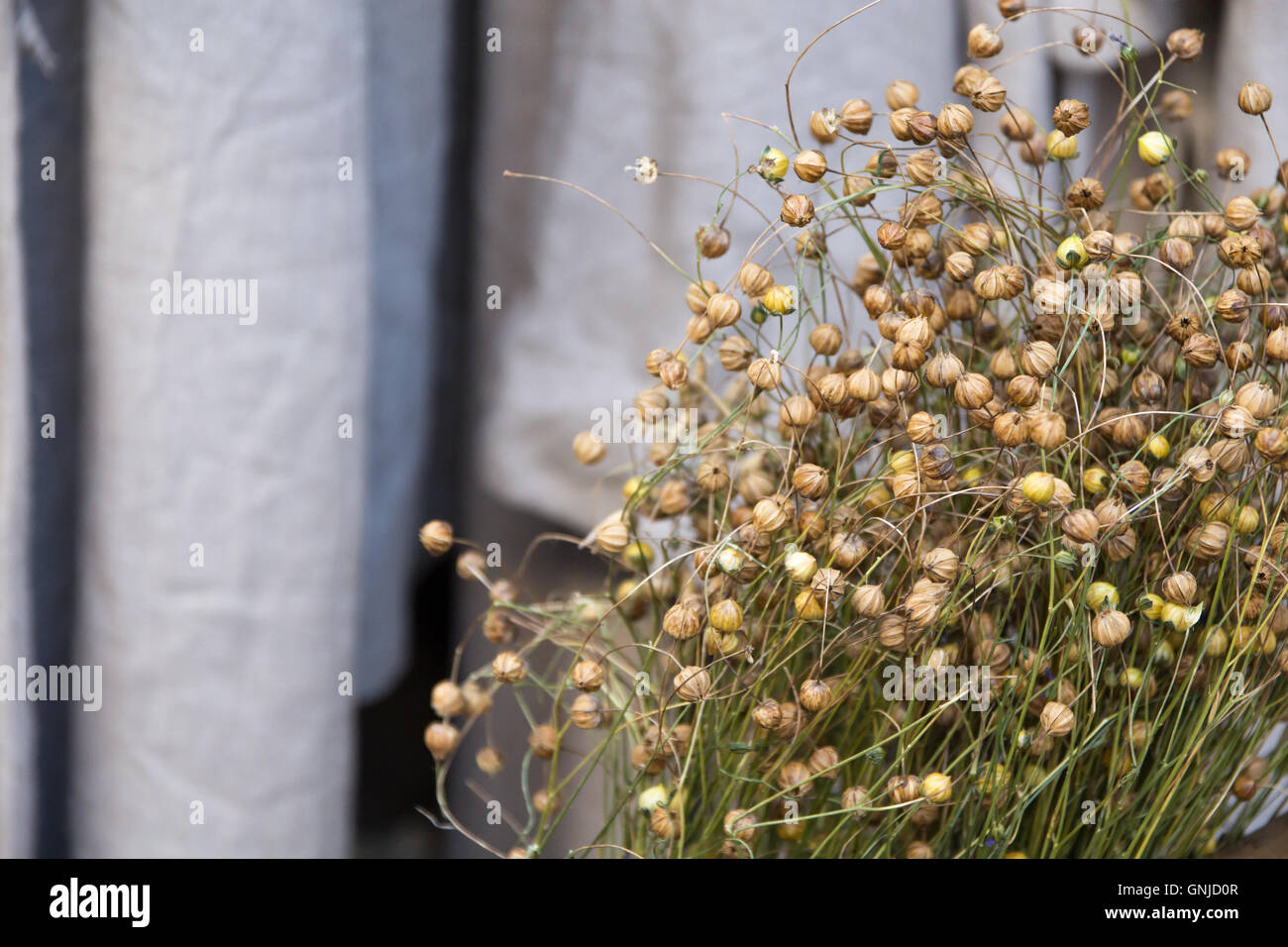 Gewebter flachs -Fotos und -Bildmaterial in hoher Auflösung – Alamy