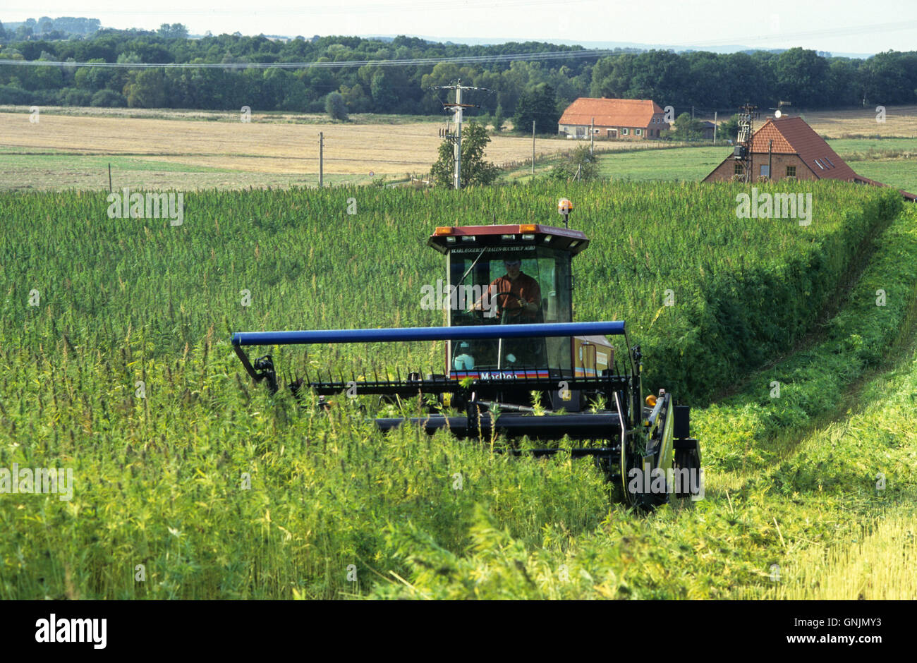 Hemp fibre -Fotos und -Bildmaterial in hoher Auflösung – Alamy