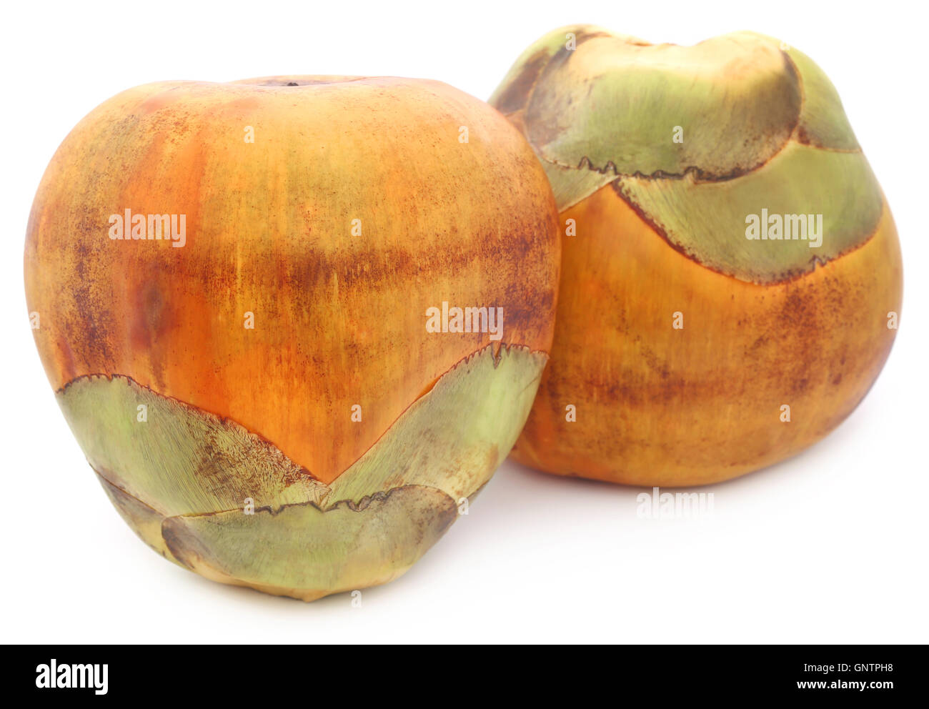 Tala palm borassus flabellifer -Fotos und -Bildmaterial in hoher ...